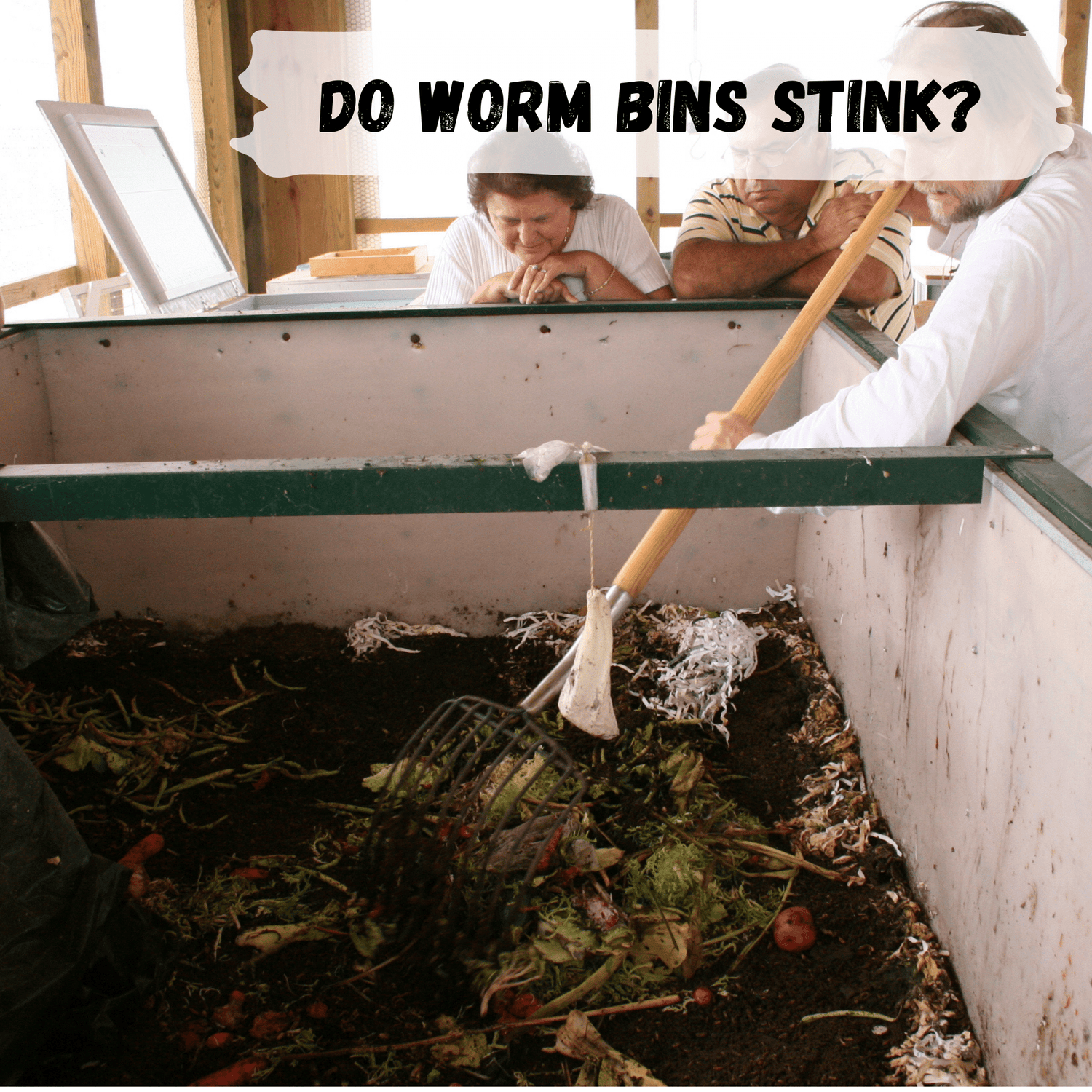 Do worm bins stink? – WormBucket